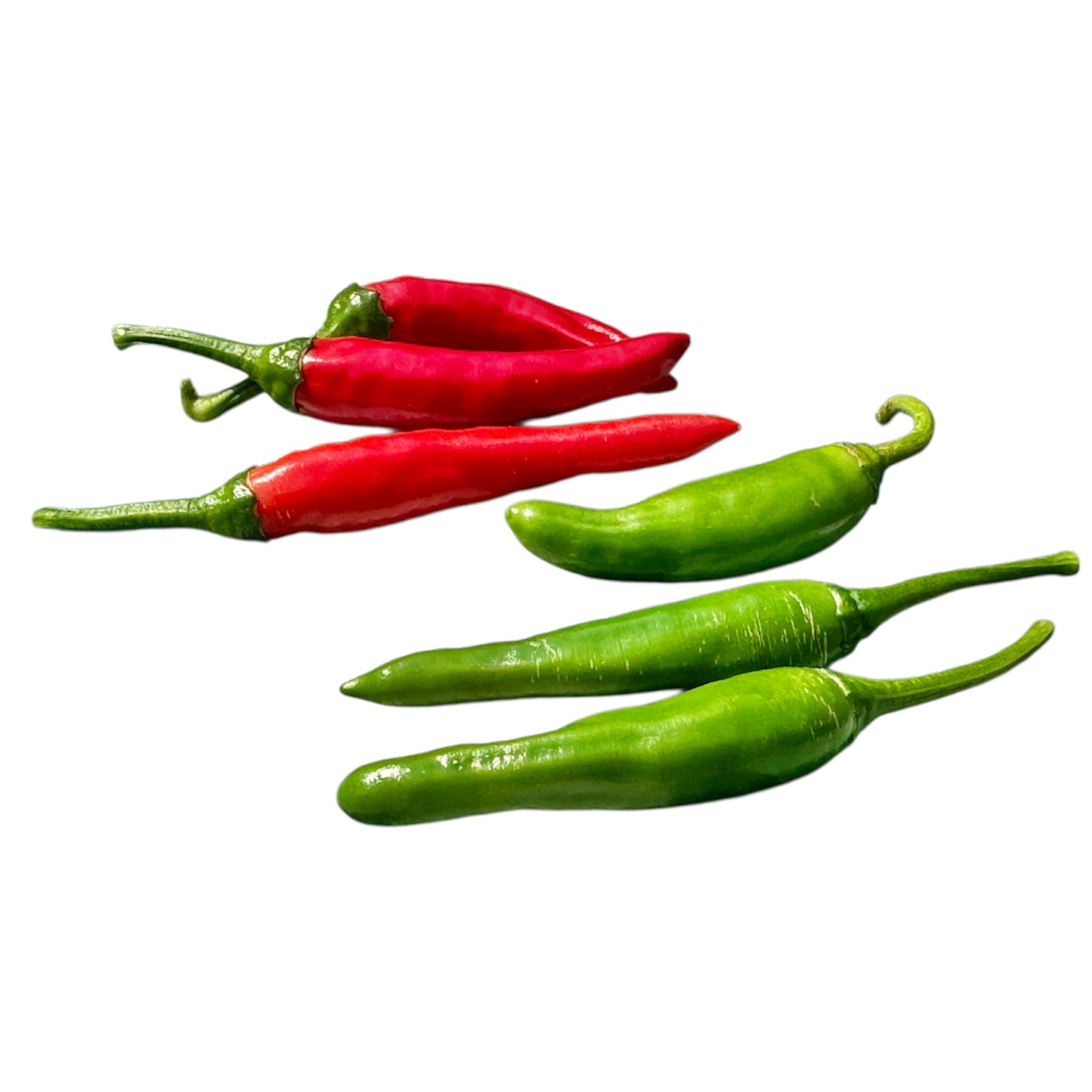 Thai Green Chili Pepper - Northern Meadows