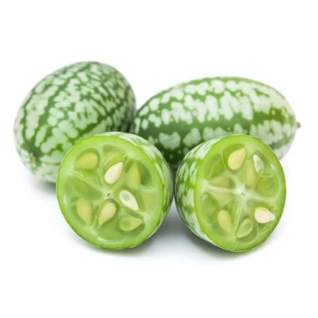 Cucumber - Cucamelon - Northern Meadows